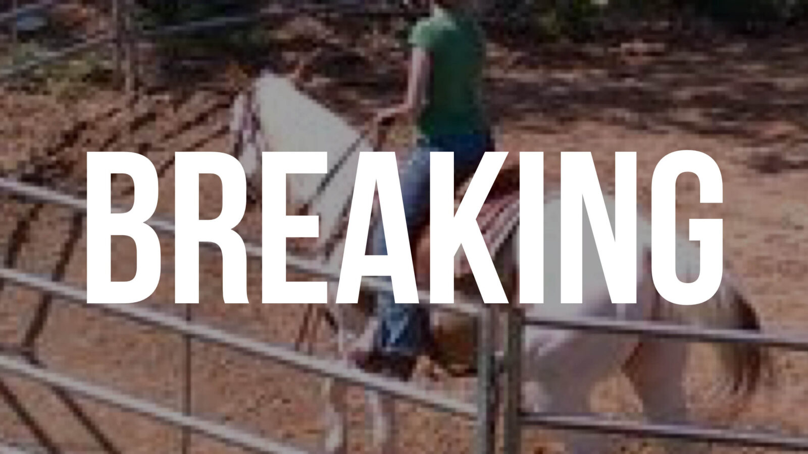 Activities for Equestrian Enthusiasts - RNR Stables