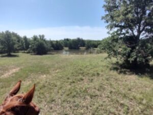 Trail Rides Packages Information - RNR Stables