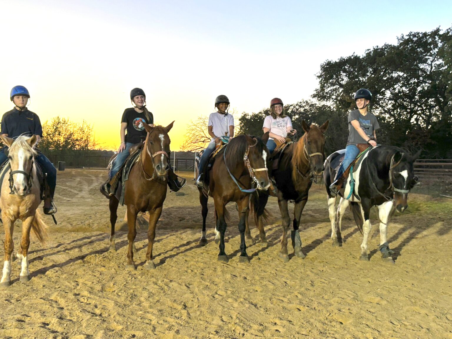 Horseback Riding Camps - Horse Care Camps - RNR Stables